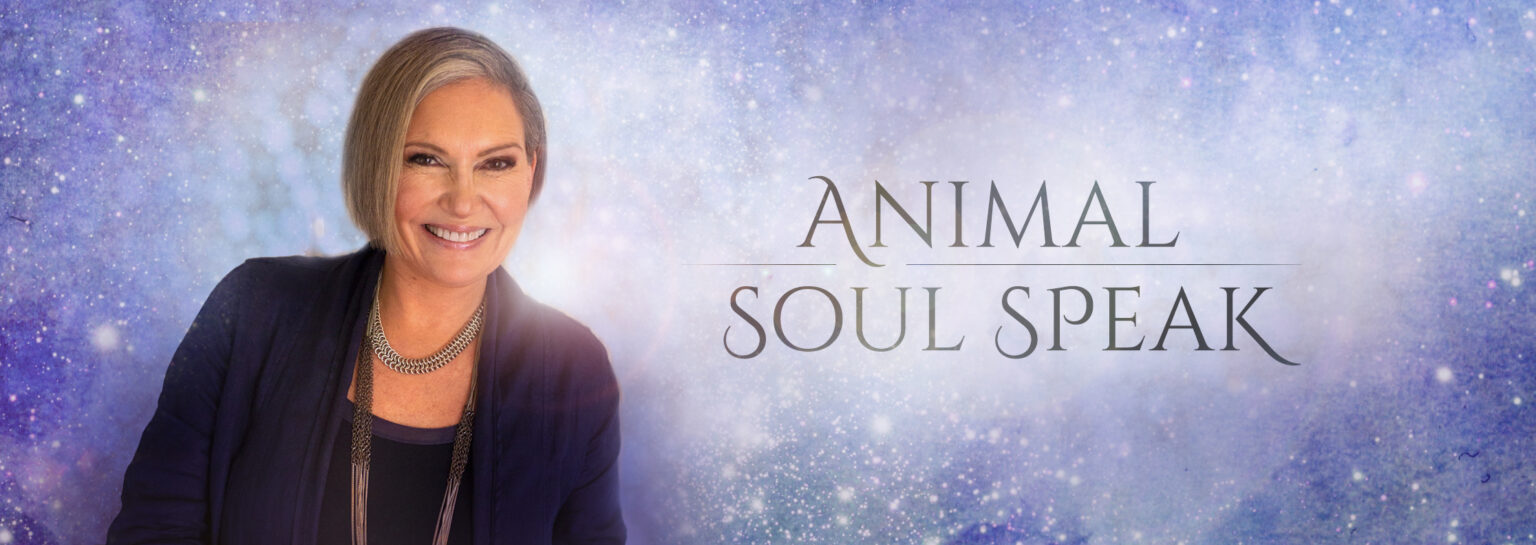 Animal Soul Speak (Request) - Susan Allen Medium | Psychic Medium and ...