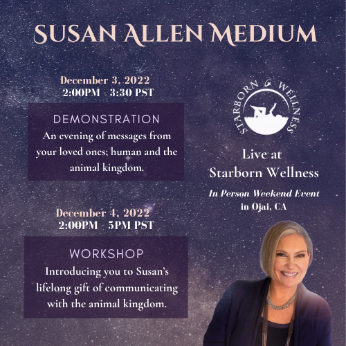 Live at Starborn Wellness | Susan Allen Medium