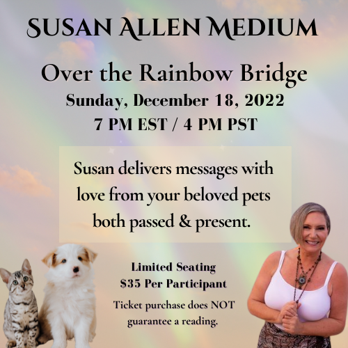 Over The Rainbow Bridge | Susan Allen Medium
