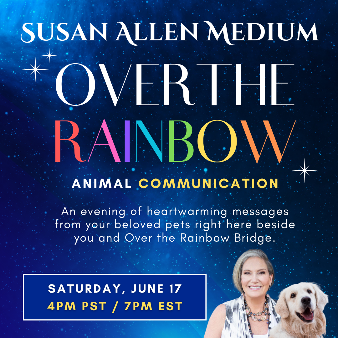 Over The Rainbow Bridge | Susan Allen Medium